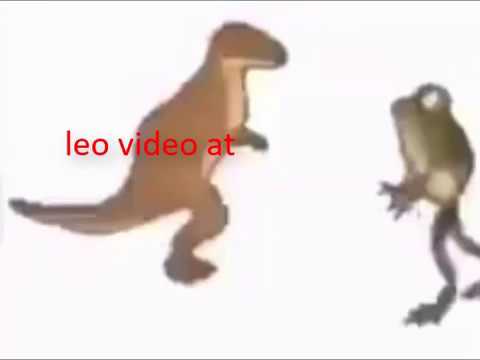 Leo video at len mq