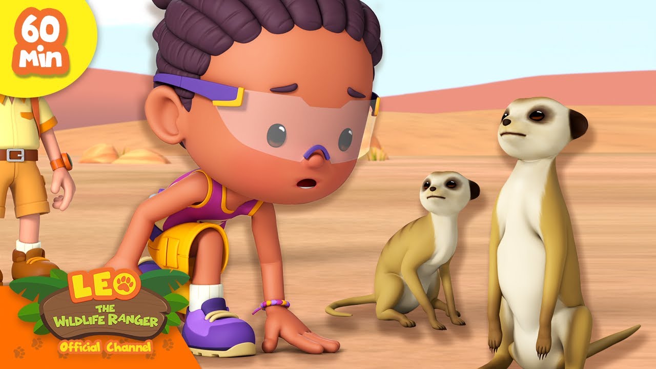 The Meerkats Lost their Home?! 😭😭 | Desert Animals | Leo the Wildlife ...