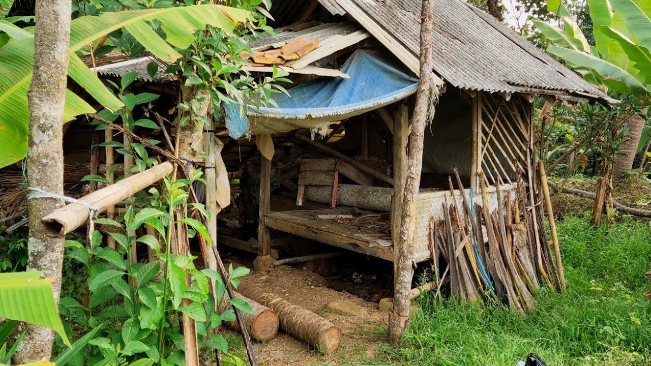 Camping at a Rice Paddy Hut - Spending the Night in a Dirty, Squalid ...