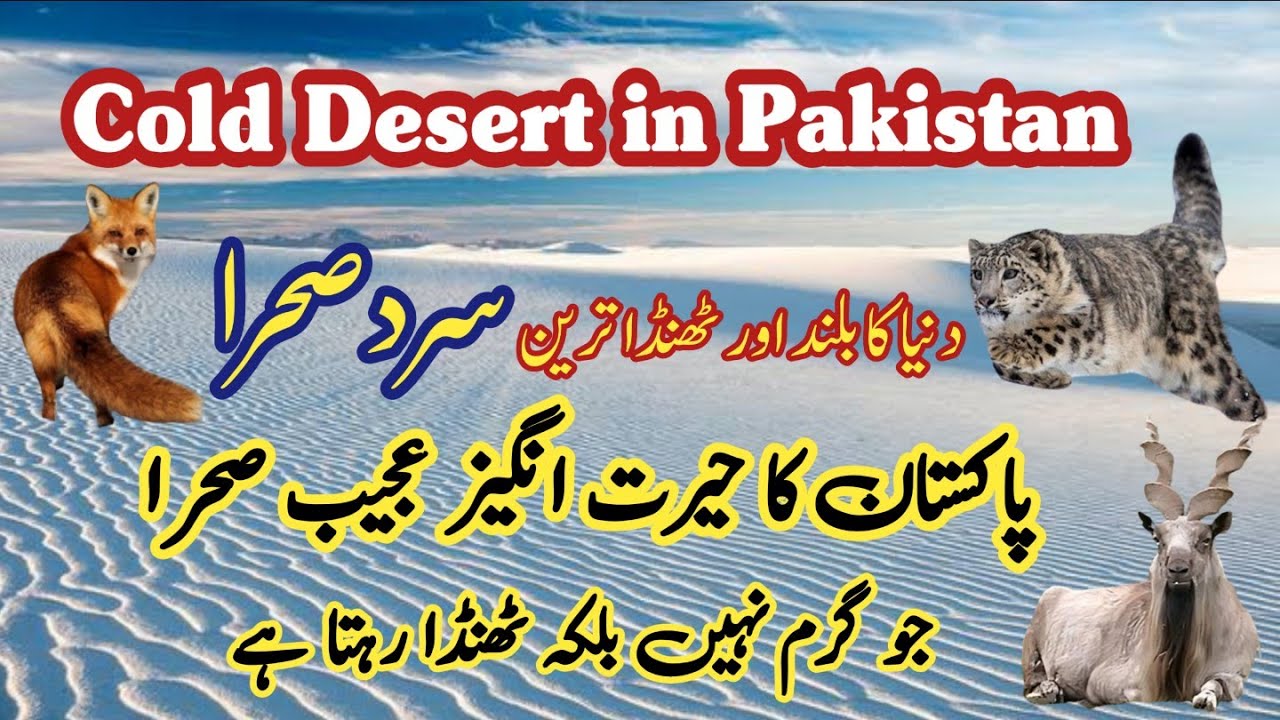 Sarfaranga cold desert | Sarfaranga desert skardu | Katpana cold desert ...