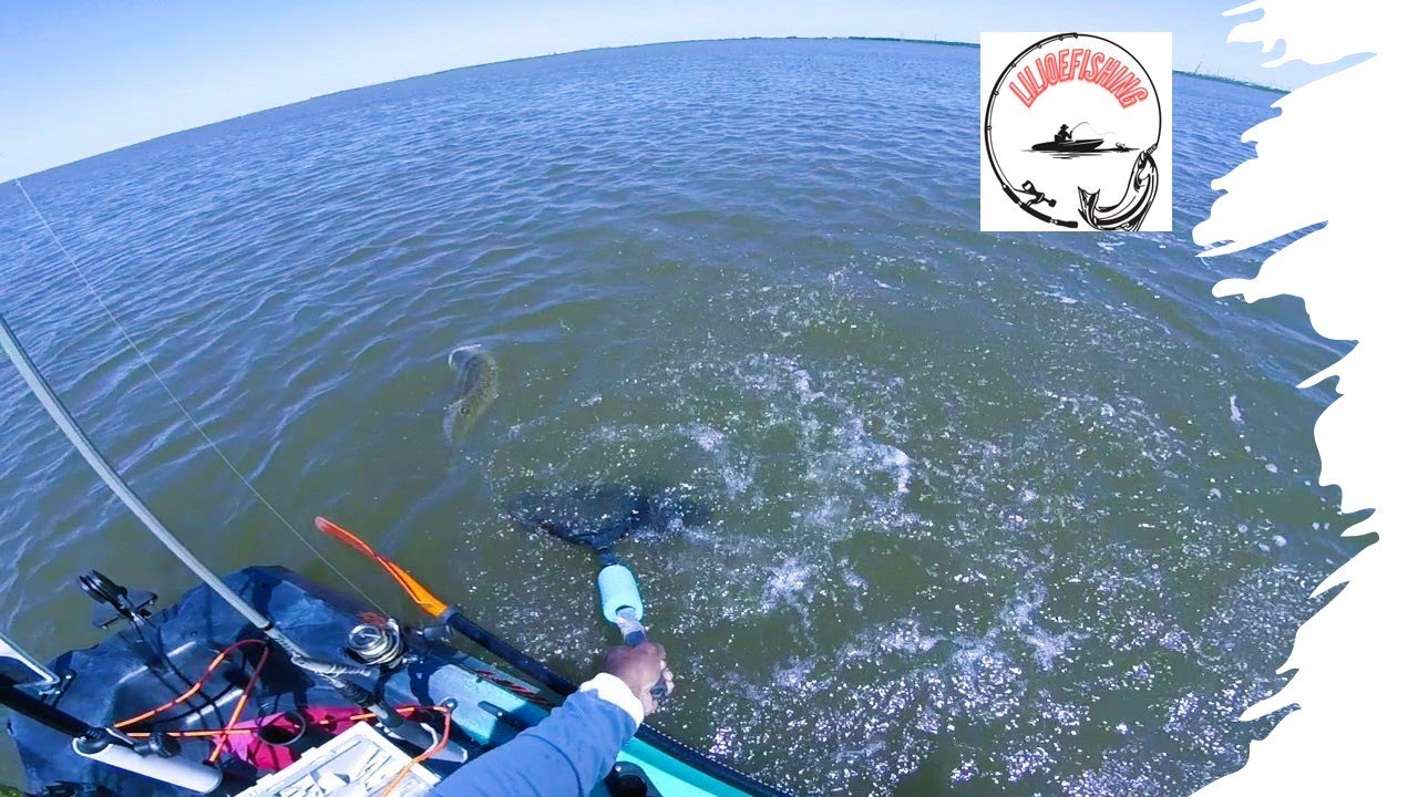 Quiet Day Fishing......and this happens. - YouTube