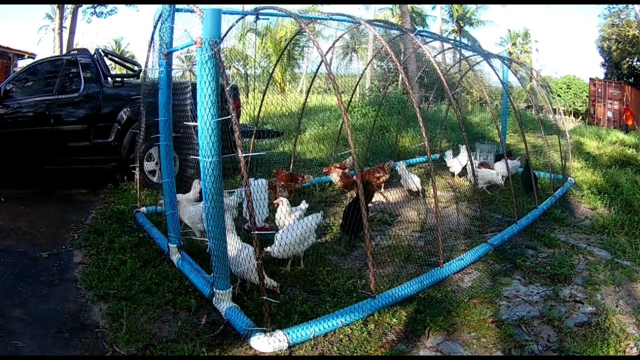 COMO FAZER UM GALINHEIRO DE CANO PVC E TELA, SIMPLES E FÁCIL - YouTube