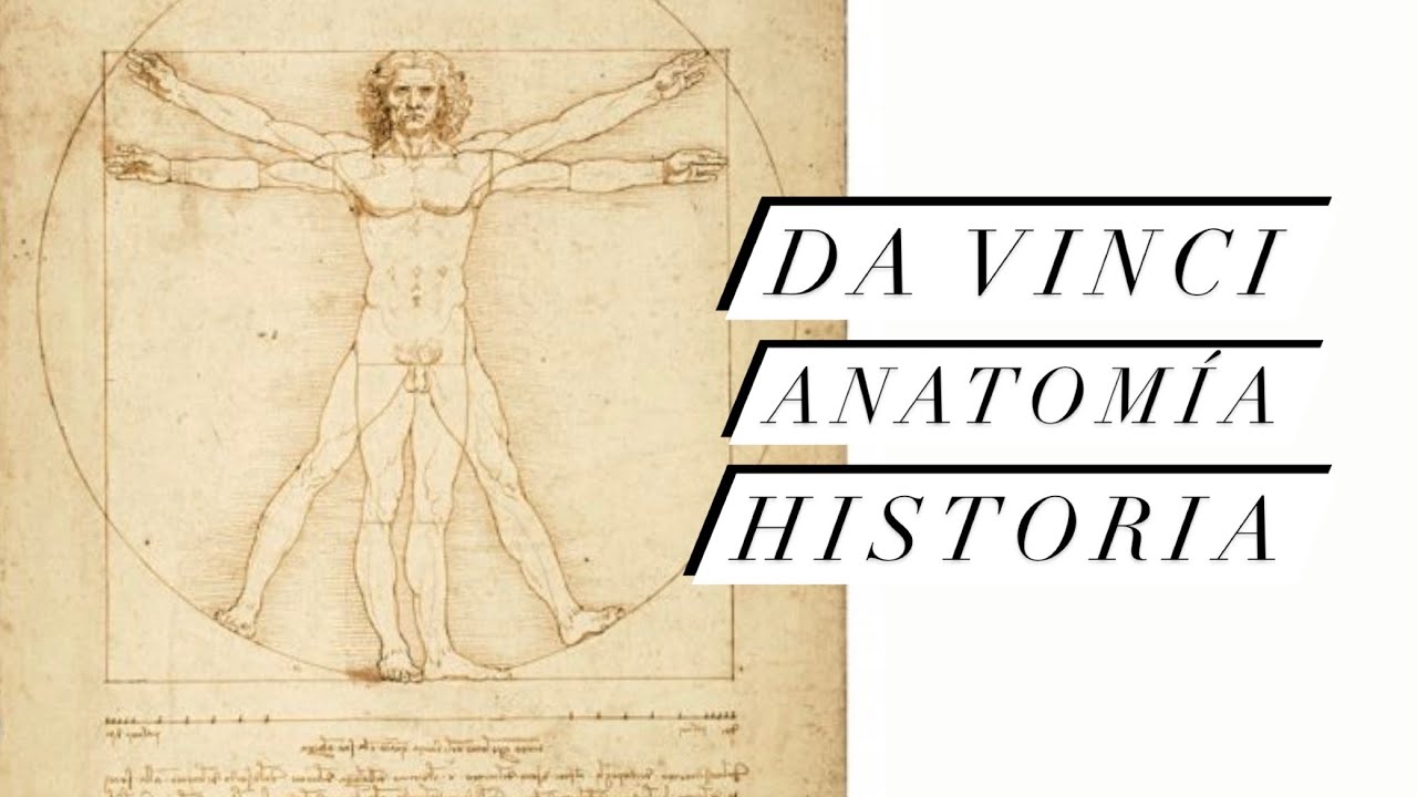 Leonardo Da Vinci y sus aportes a la medicina - YouTube