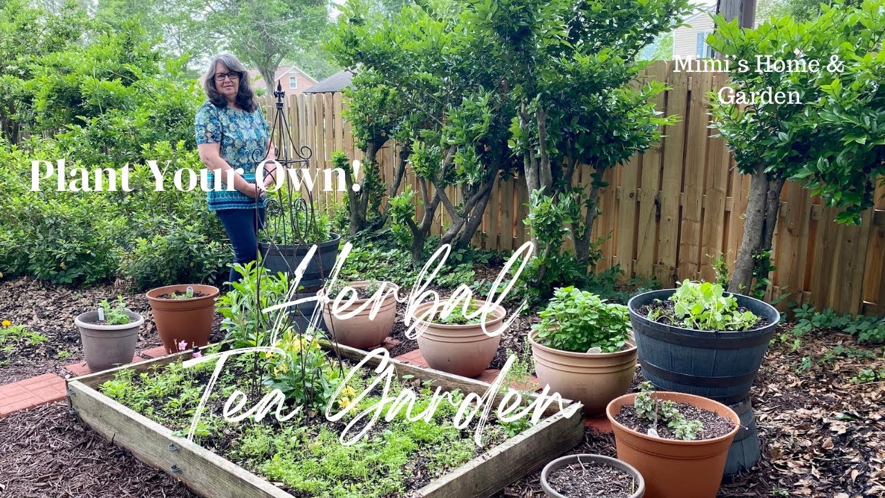 Plant Your Own Herbal Tea Garden! - YouTube
