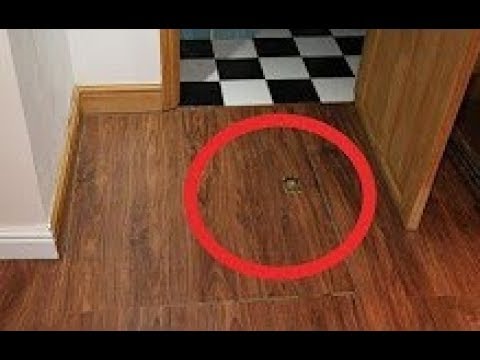 Weirdest Things People Have Found In Their Homes - YouTube