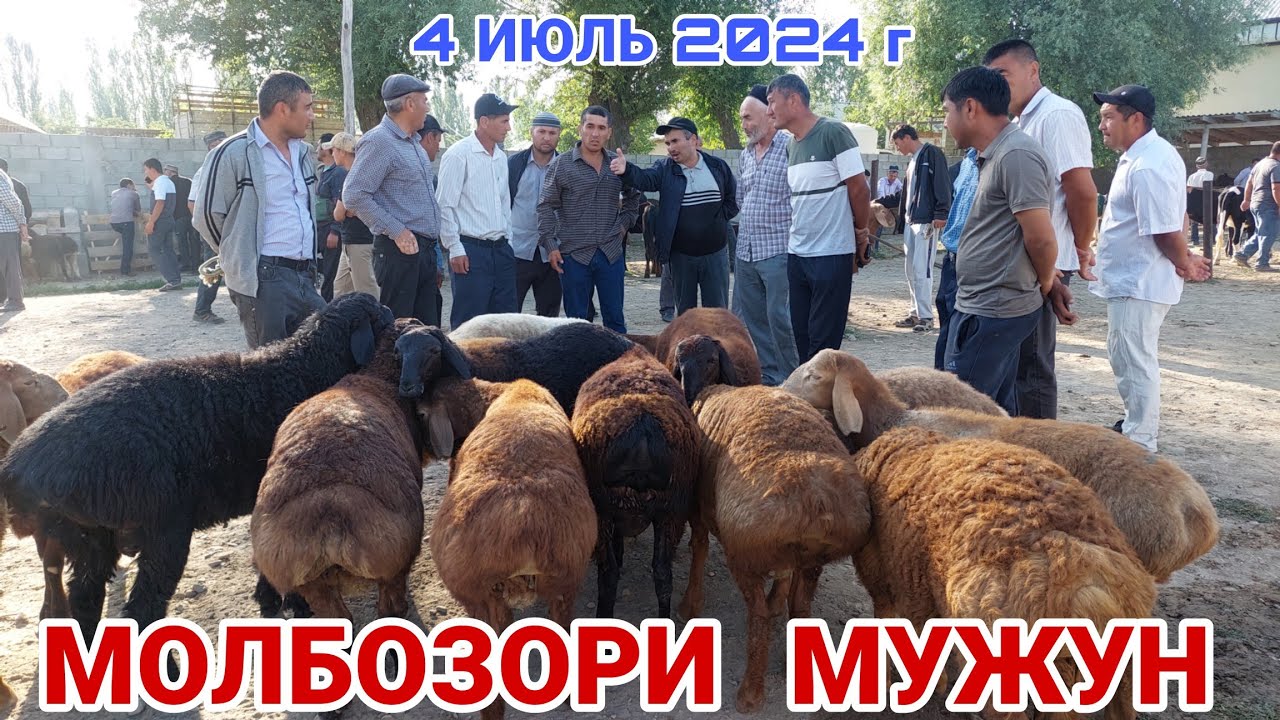 4 июля 2024 г МОЛБОЗОРИ ДЕВАШТИЧ БАРОИ ШУМО МАХСУС Youtube