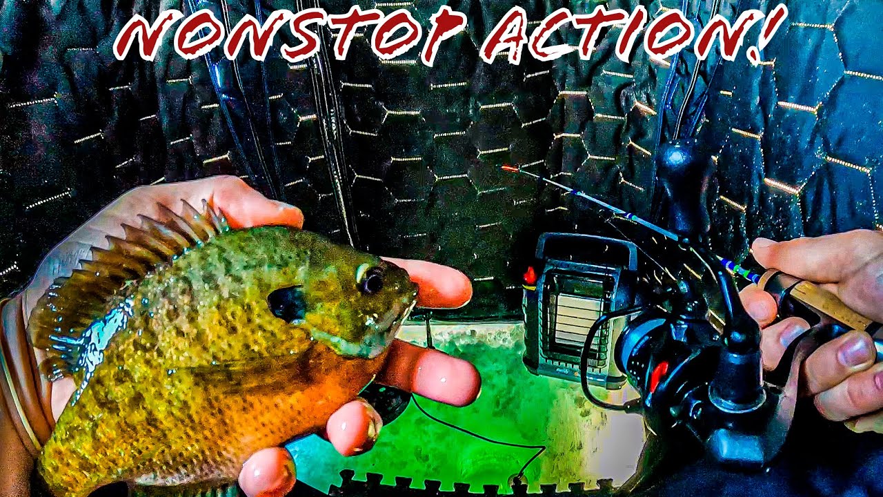 Panfish JACKPOT on a city lake in SE Minnesota! | Ice Fishing for ...