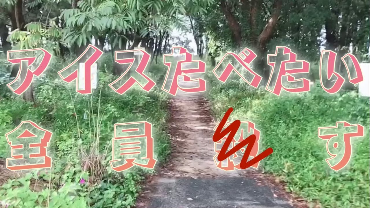 【MV】アイスたべたい全員殺す【RINGO-iceオリジナル曲】 - YouTube