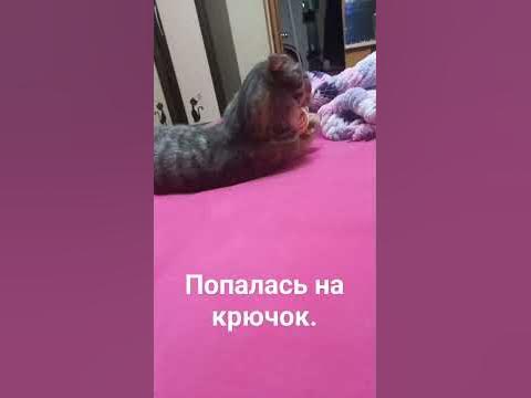 Мята - YouTube