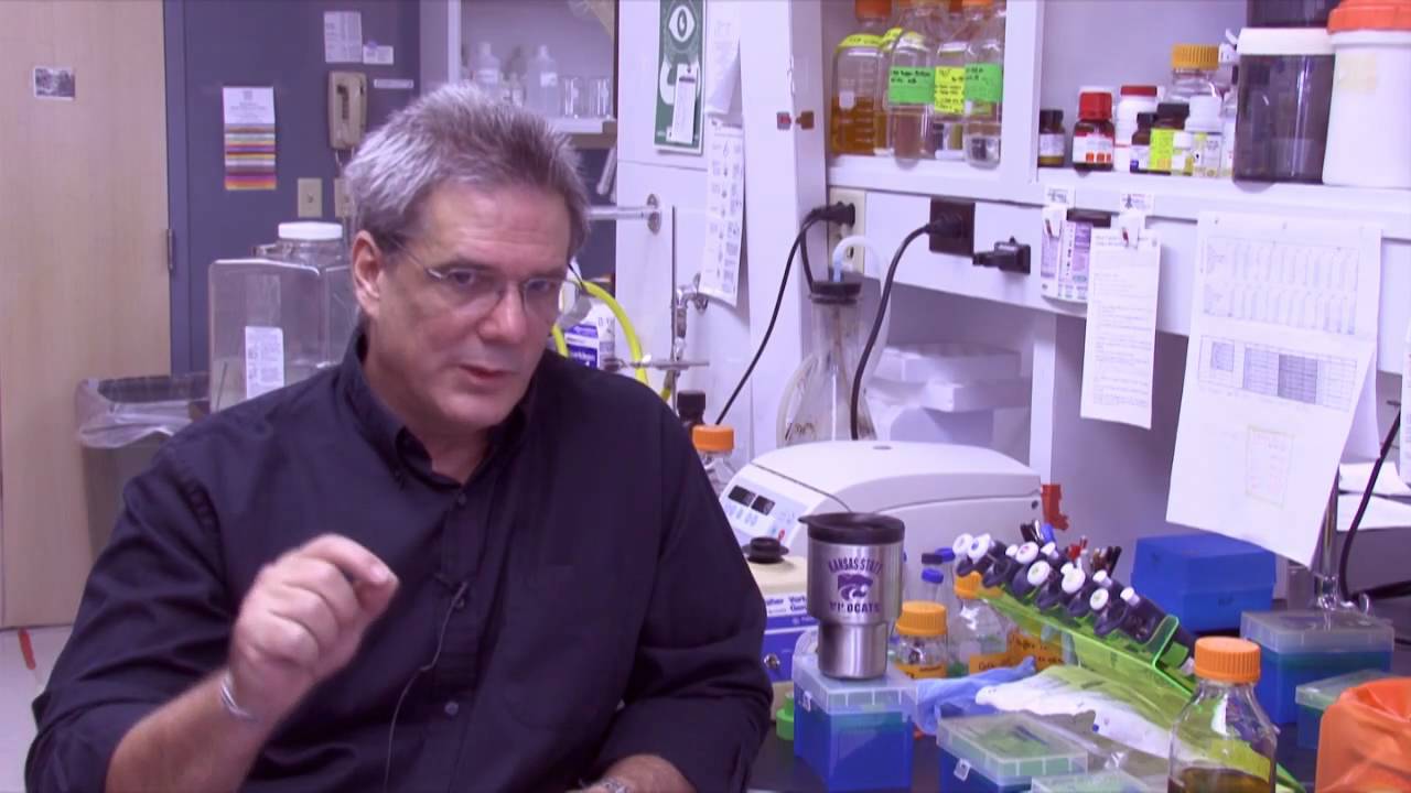 Mark S. Smeltzer, Ph.D. - YouTube