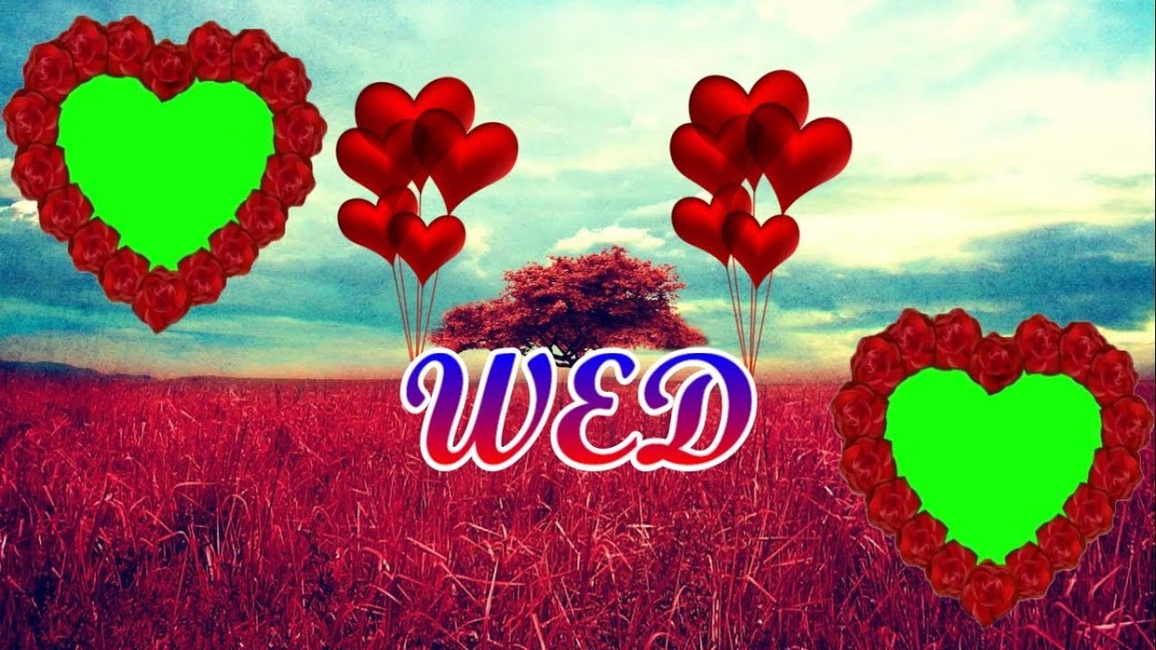 wedding green screen | hd nature green photo wedding background effect ...