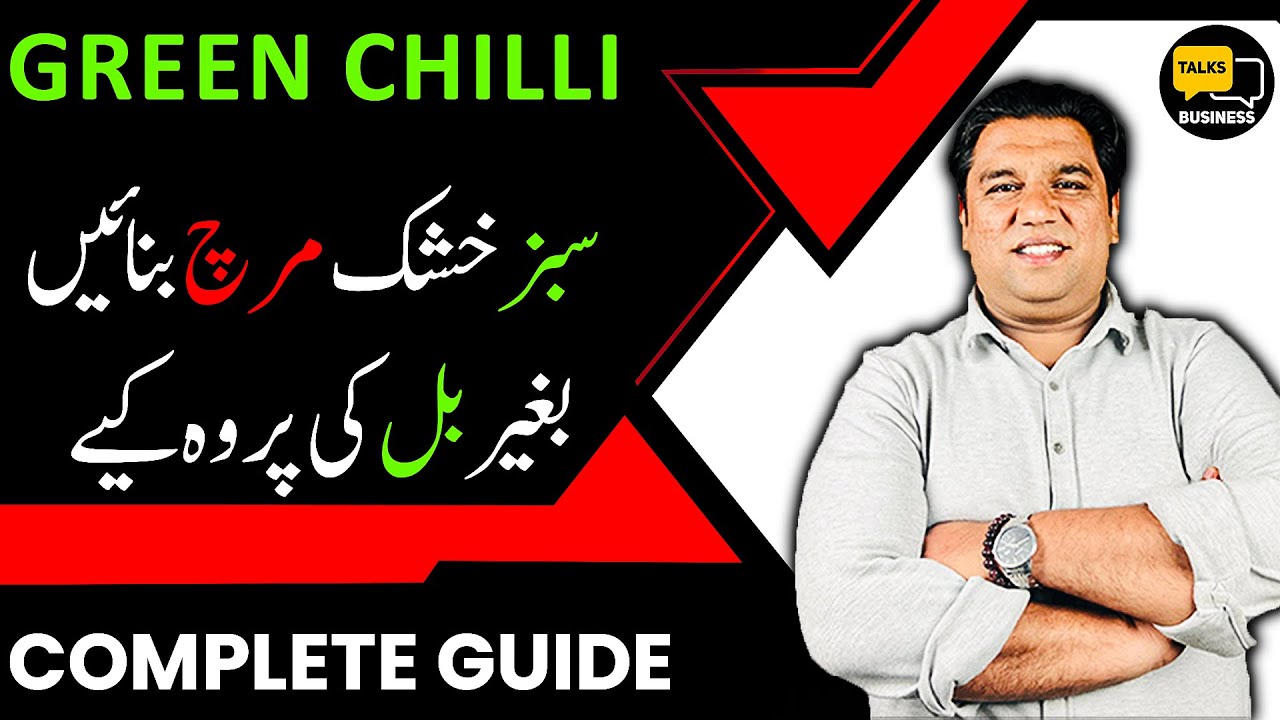 How to Dry Green Chilli In 13 Hours - How To Dry Green Chilli At Home ...