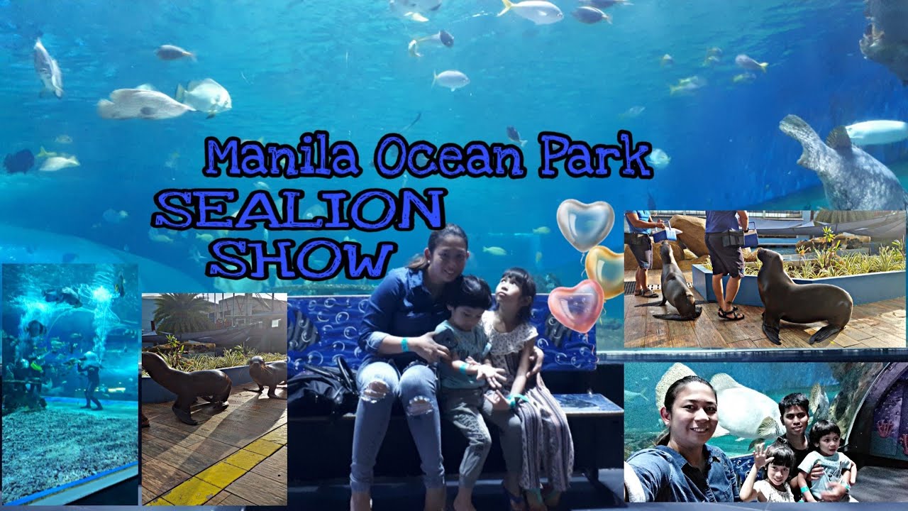 Manila Ocean Park|| The Sealion Show - YouTube
