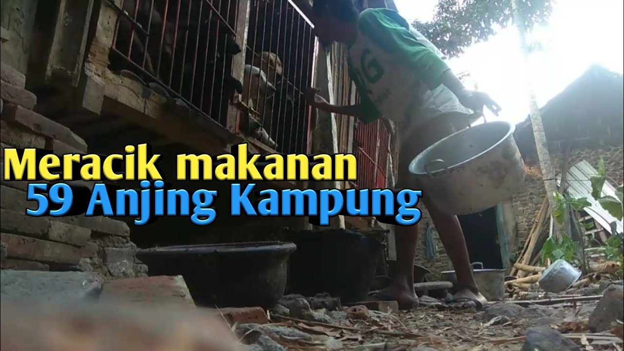 Cara meracik makanan anjing - untuk 59 ekor ternak anjing kampung ...