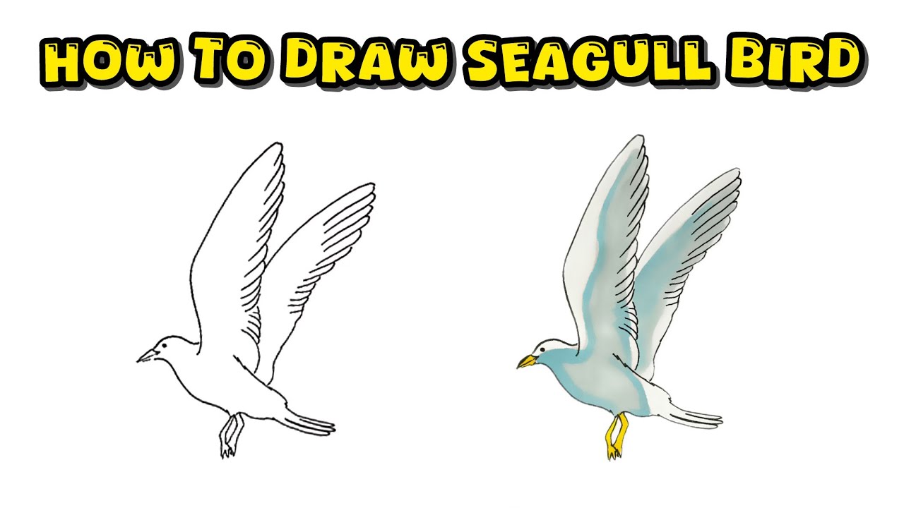 How to Draw a Seagull Bird – Quick and Easy Guide to Drawing Feathered ...