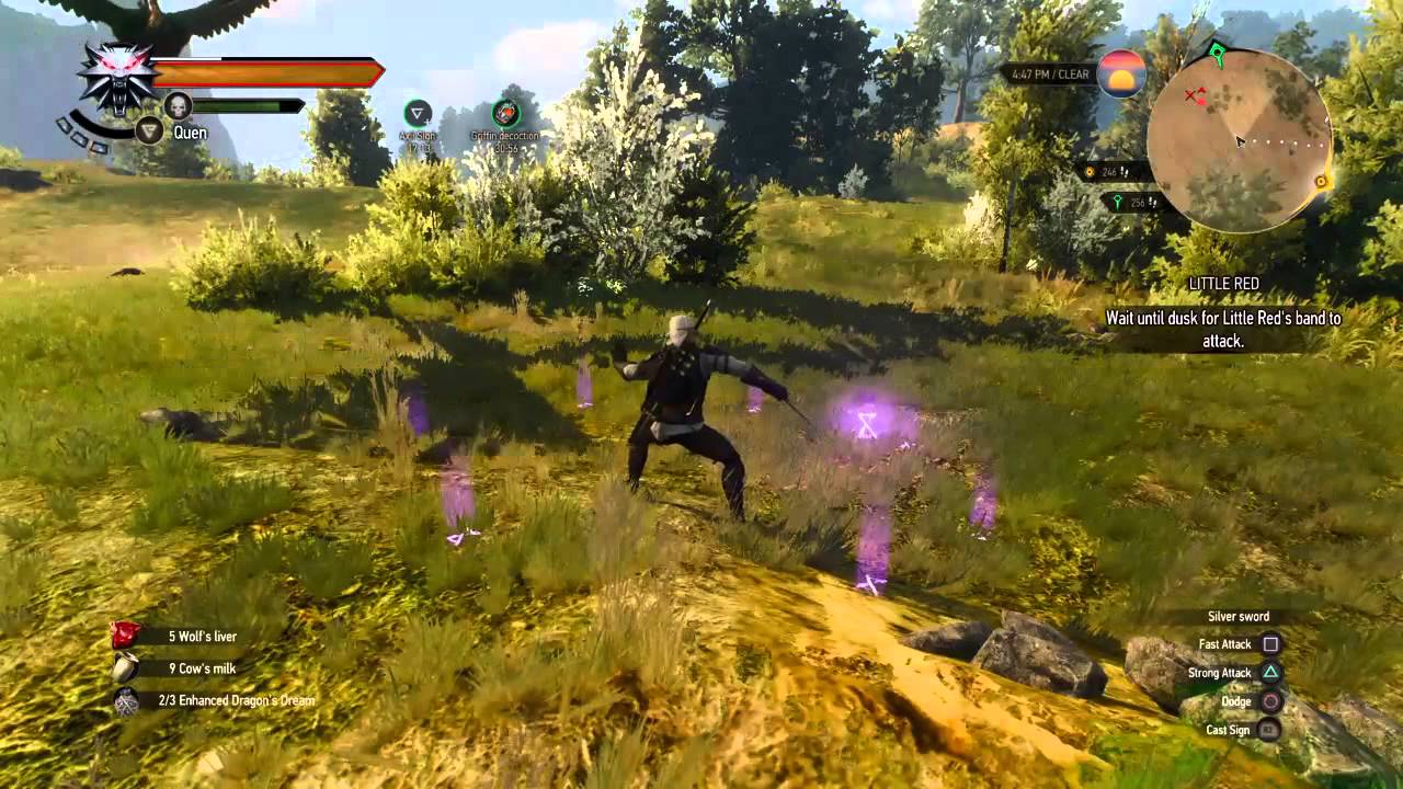 Witcher 3 Level 20 Cockatrice vs. Level 12 Sign Build on Death March ...