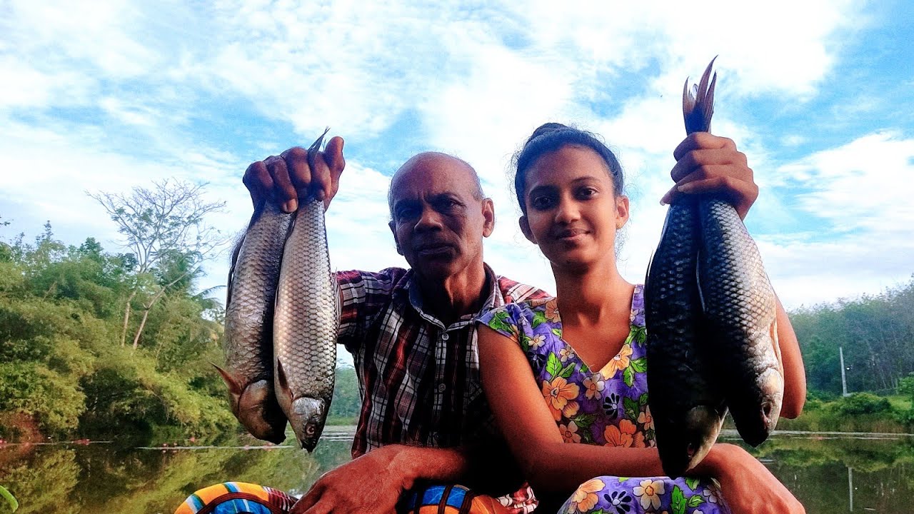 Best village tank fish curry with jackfruit,coconut milk curry,salada ...