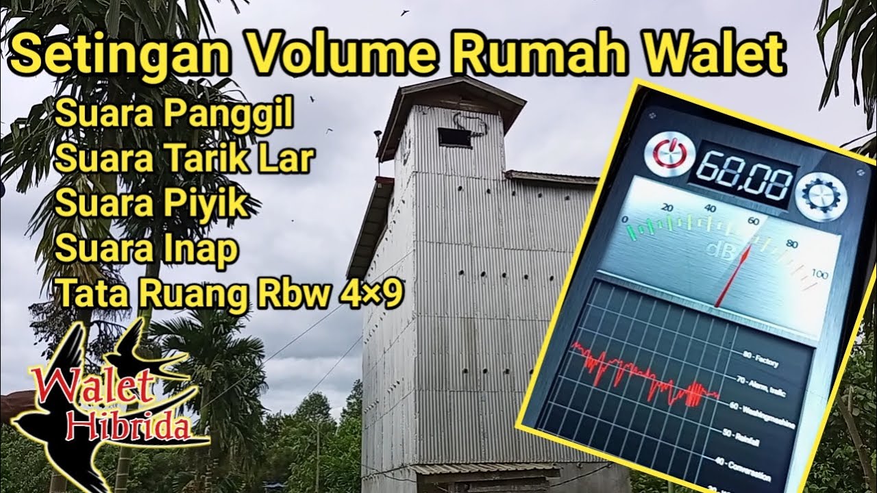 Setingan volume rumah burung walet dan tata ruang rbw 4×9 - YouTube