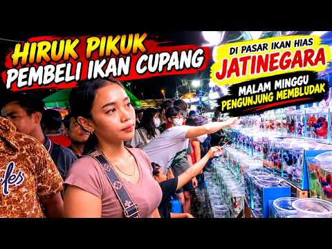 HIRUK PIKUK PEMBELI IKAN CUPANG DI PASAR IKAN JATINEGARA