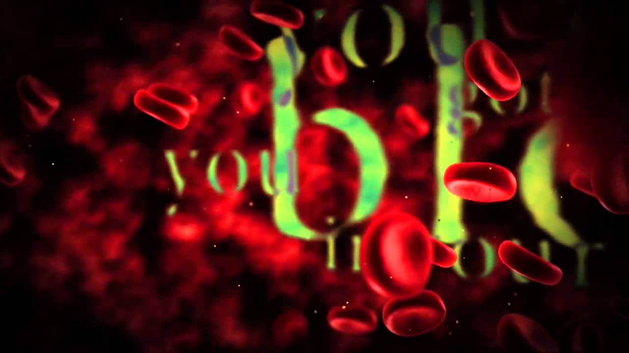 "BLOOD" from the album Echogenetic By Front Line Assembly - YouTube