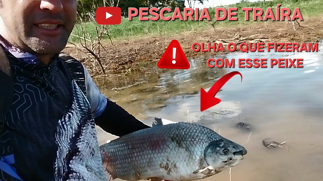 CORIMBA GIGANTE! foi uma pena ter perdido esse peixe era grande dimais ...