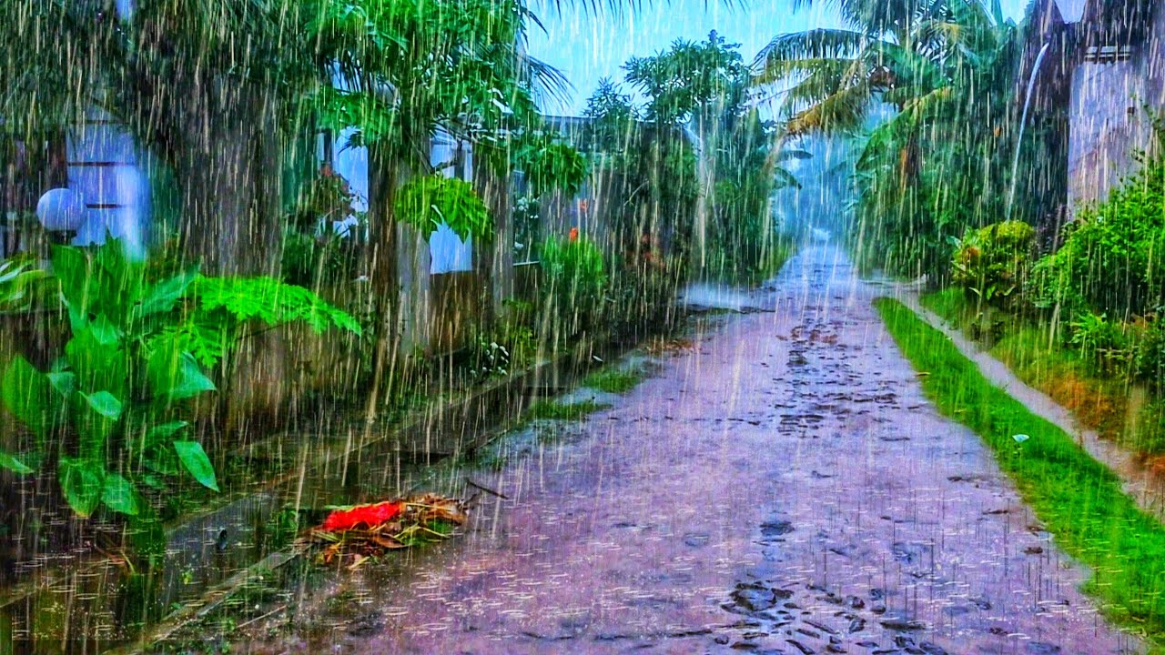 heavy rain poured down on our village, walking around to see the ...