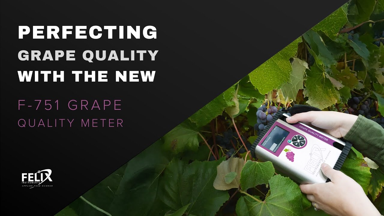 Perfecting Grape Quality with the new F-751 Grape Quality Meter From Felix Instruments - YouTube