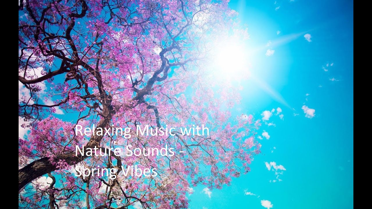 Relaxing Music with Nature Sounds - Spring Vibes - YouTube