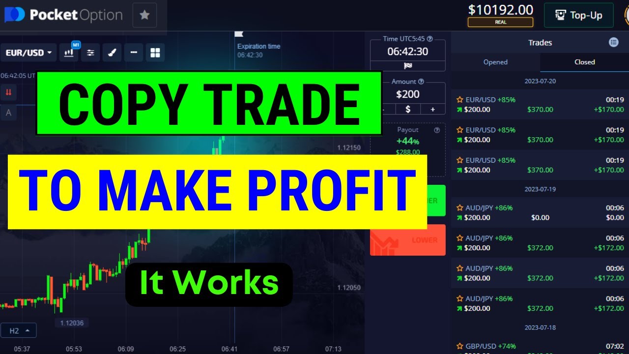 HOW TO DO COPY TRADING IN POCKET OPTION | To Make Profit (it works ...