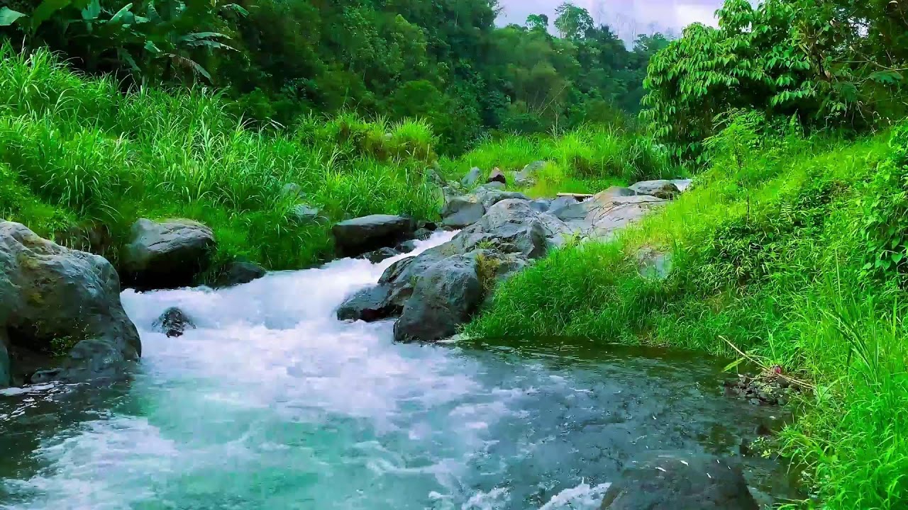Relax and Unwind by the River: Soothing Water Sounds for Sleep, Anxiety ...