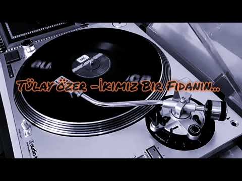 Tülay özer - İkimiz Bir Fidanın (1975) @plakşarkıları