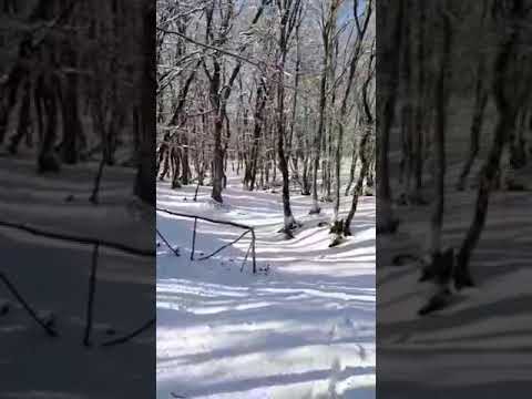 Haci Asif Qalalti 2020