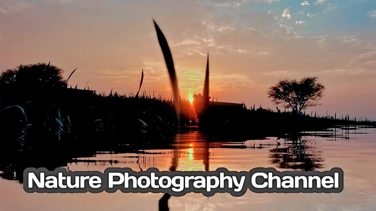 nature photography channel - YouTube