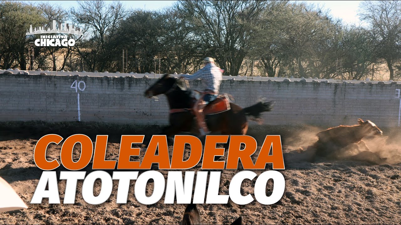Coleadera y Cabalgata en San Andrés de Atotonilco, Durango - YouTube