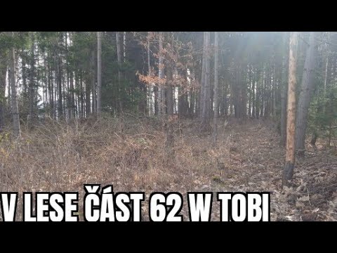 V Lese část 62 Kadibudka W Tobi Ph6ny Youtube 4154