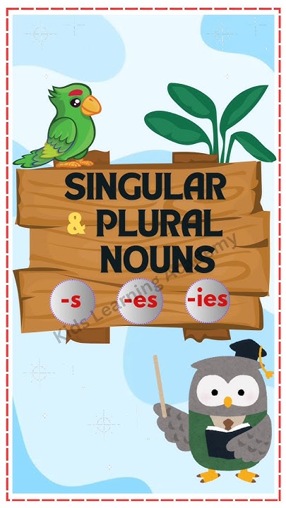 Singular and plural nouns -s, es, ies, Learn the rules of plural nouns ...