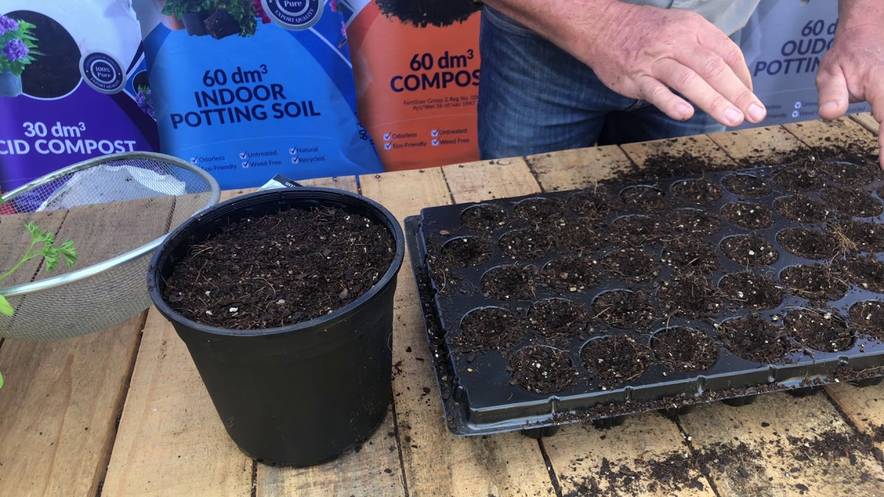Germination Mix - YouTube