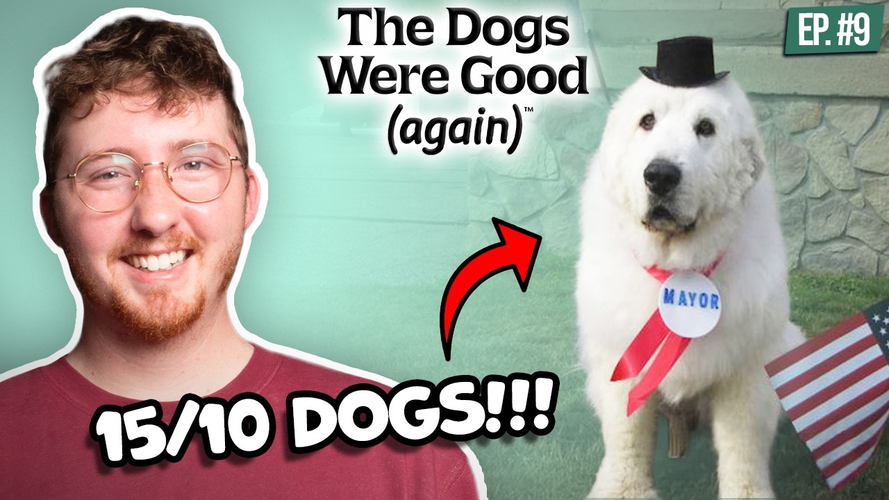 The Highest Rated Dogs Of All Time (Part 2) - YouTube