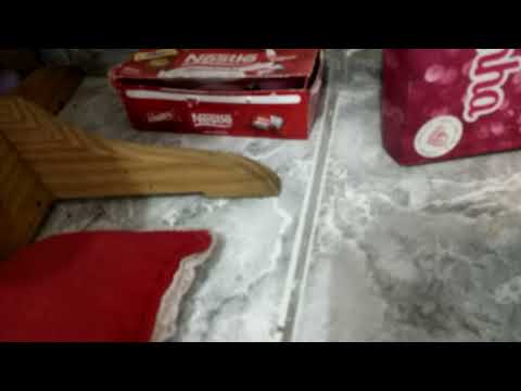 rotina da manhã parte 13