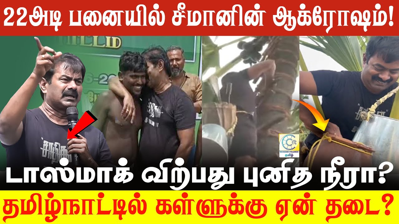 "Seeman Climbs 22-Ft Palm Tree for Toddy Protest in Tiruchendur ...