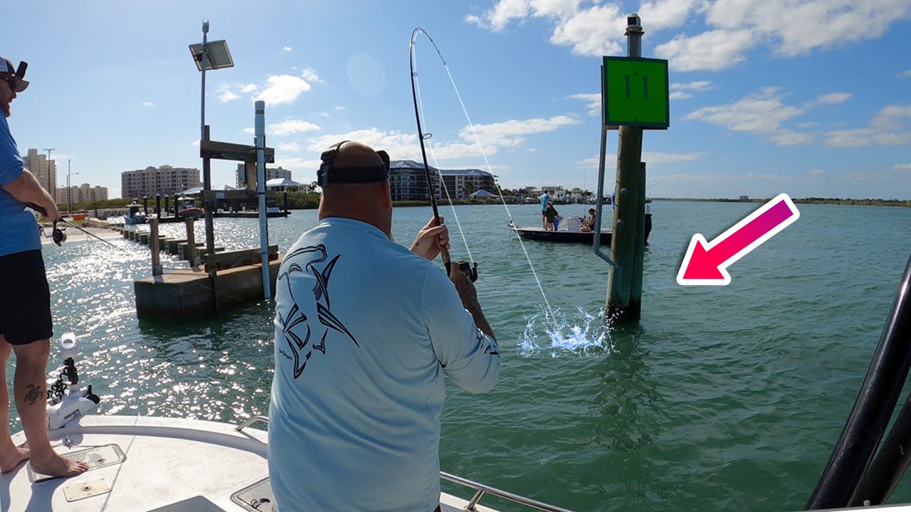 Too windy for offshore so we did this with LIVE SHRIMP! - YouTube