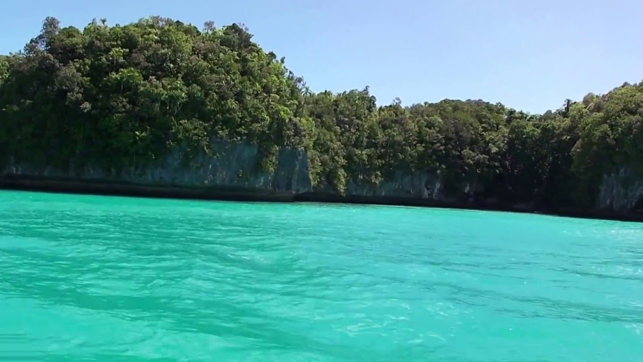 Beautiful sea of Palau - YouTube