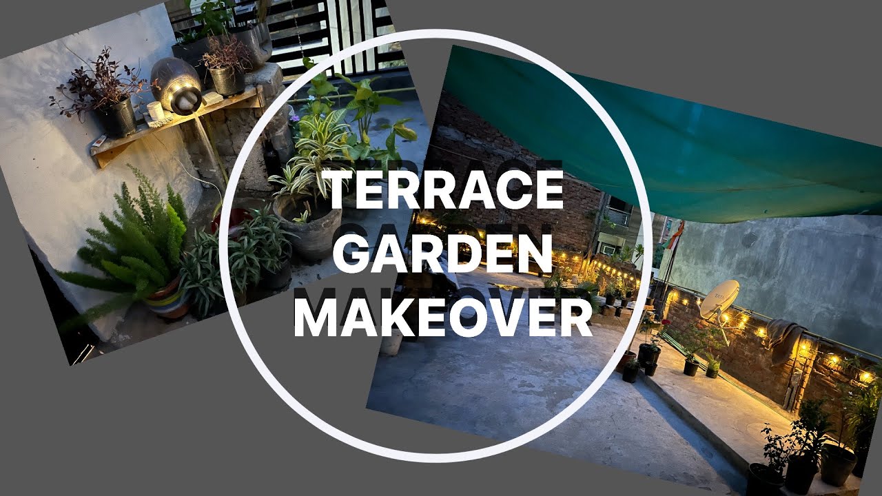 Terrace garden makeover || terrace garden new setup || terrace garden ...