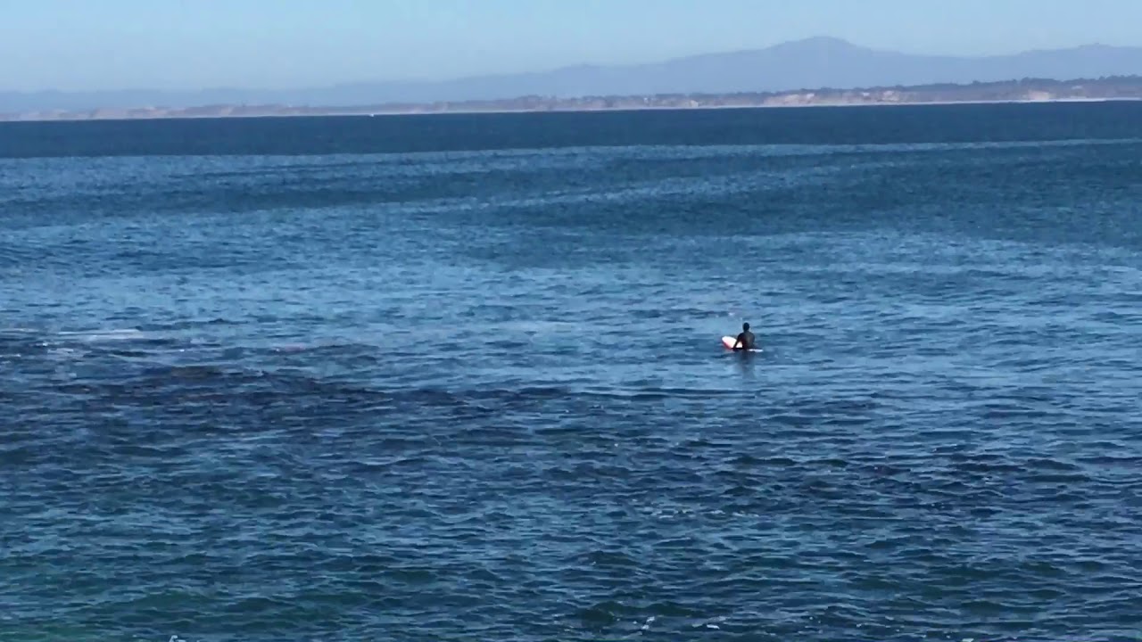 02/12/2020 Surfer at Lovers Point MONTEREY CA - YouTube