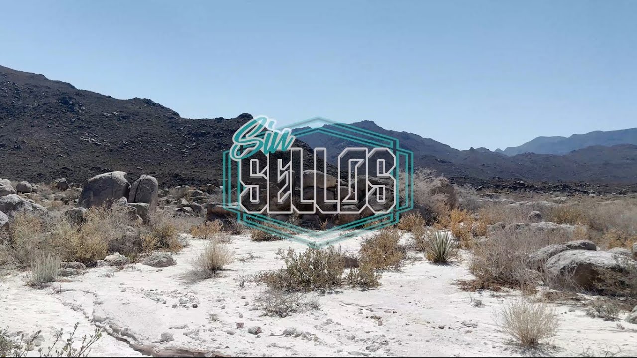 Contraste - Sin Sellos - YouTube