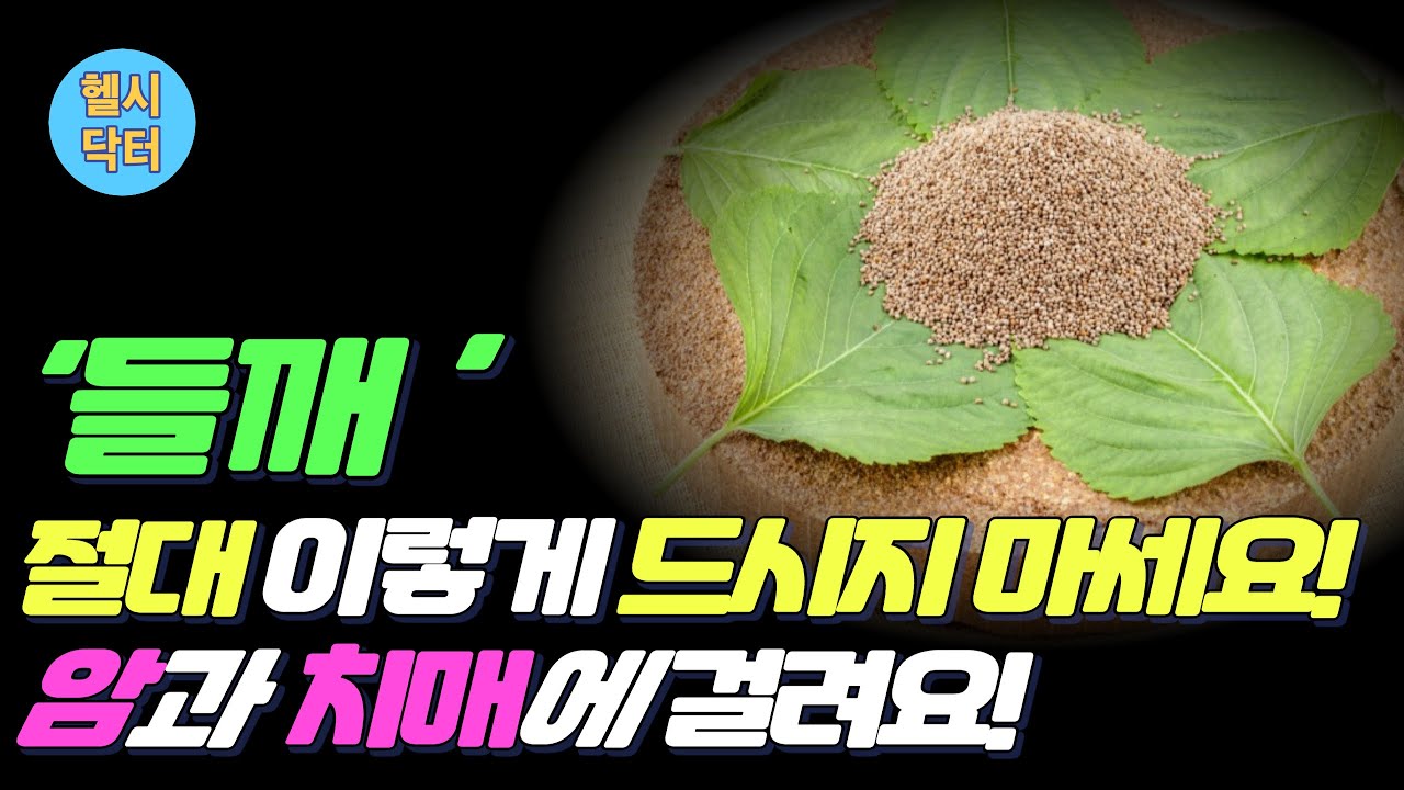헬시닥터 들깨 절대 이렇게 드시지 마세요 암과 치매 올 수 있어요 들깨와 최고의 시너지를 내는 궁합 음식 3가지