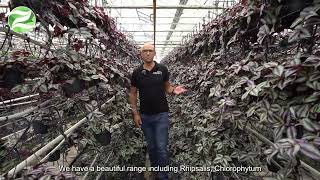 Grower of the month September 2026: Esperit Plants