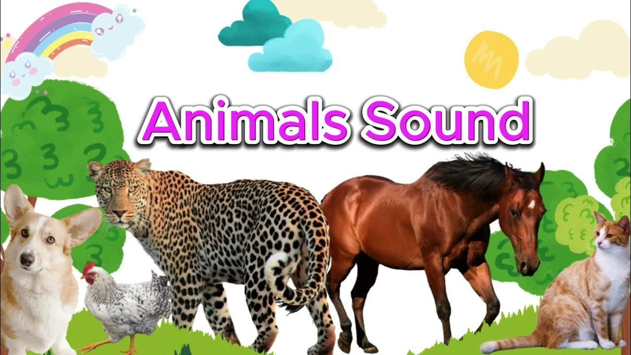 The BEST Interactive Animal Adventure For Kids - YouTube