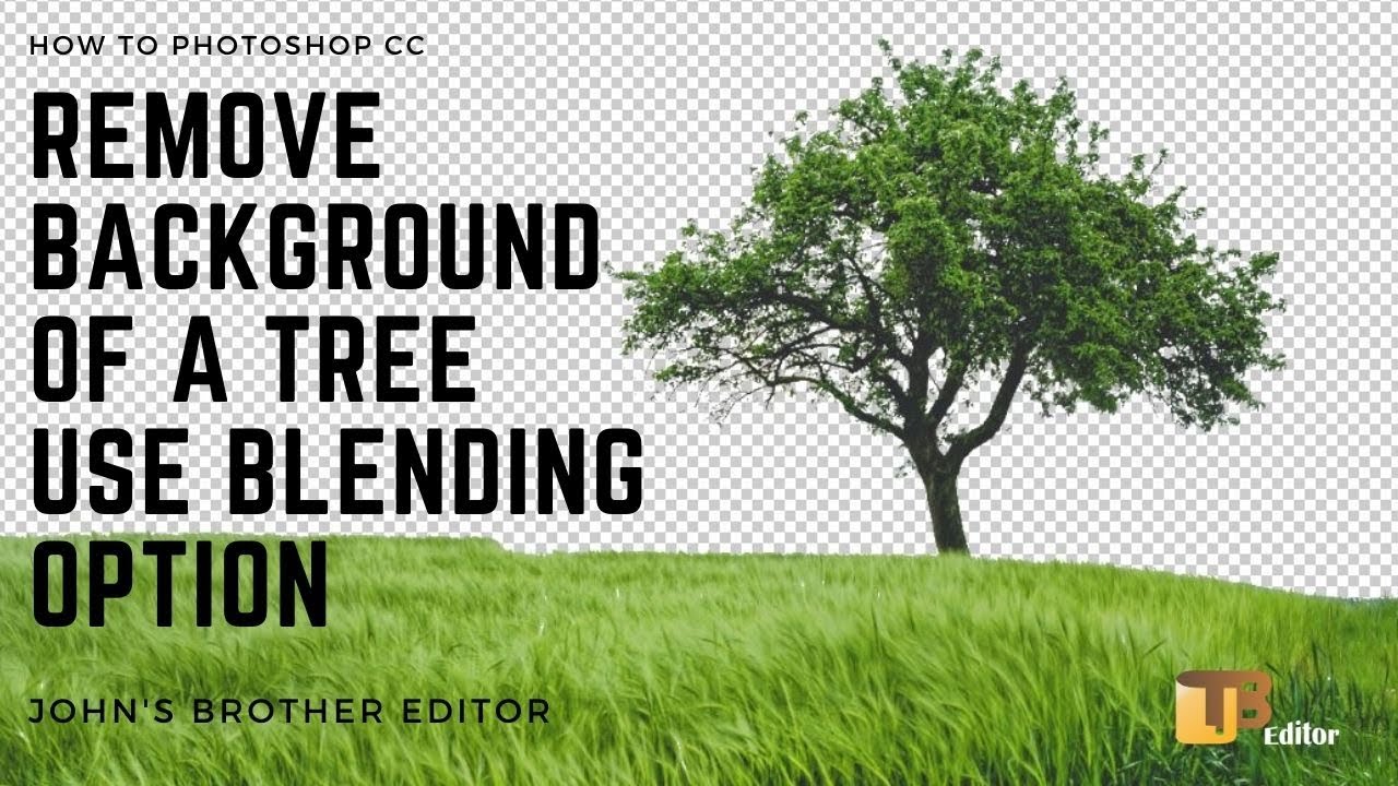 How To Remove Background of a Tree using “BLENDING OPTION” | How to Use ...