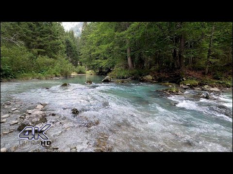 Flowing River View 4k Nature Video Clips No Copyright | Nature Whatsapp Status And Editing |